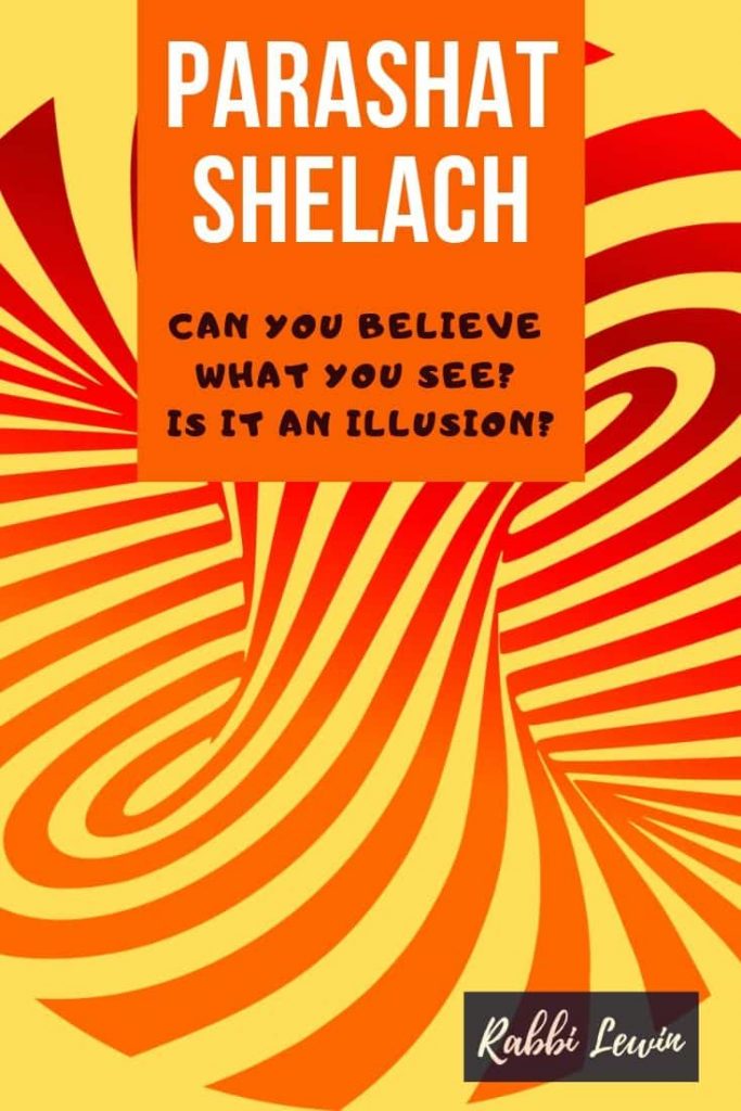 Parashat Shelach Is Seeing Believing? - Rabbi Lewin