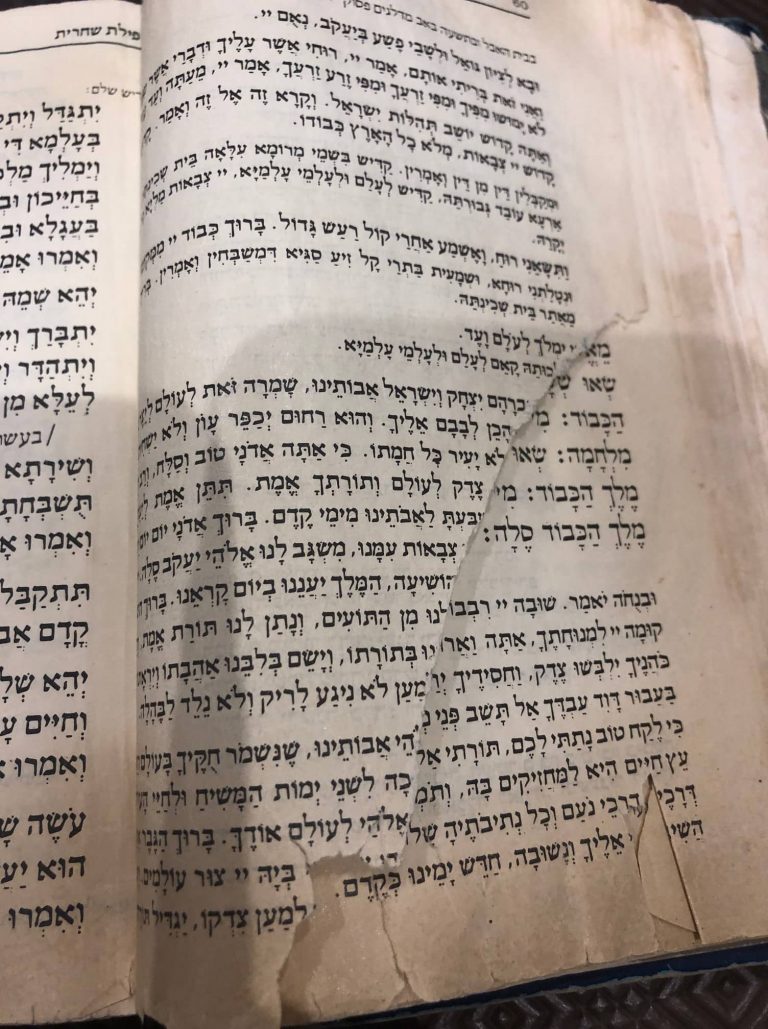 Parashat Shoftim Who Is Guarding Me? - Rabbi Lewin