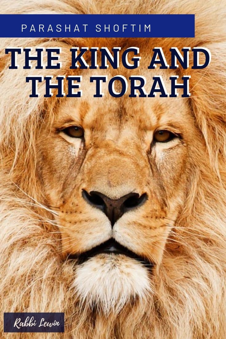 Parashat Shoftim Who Is Guarding Me? - Rabbi Lewin